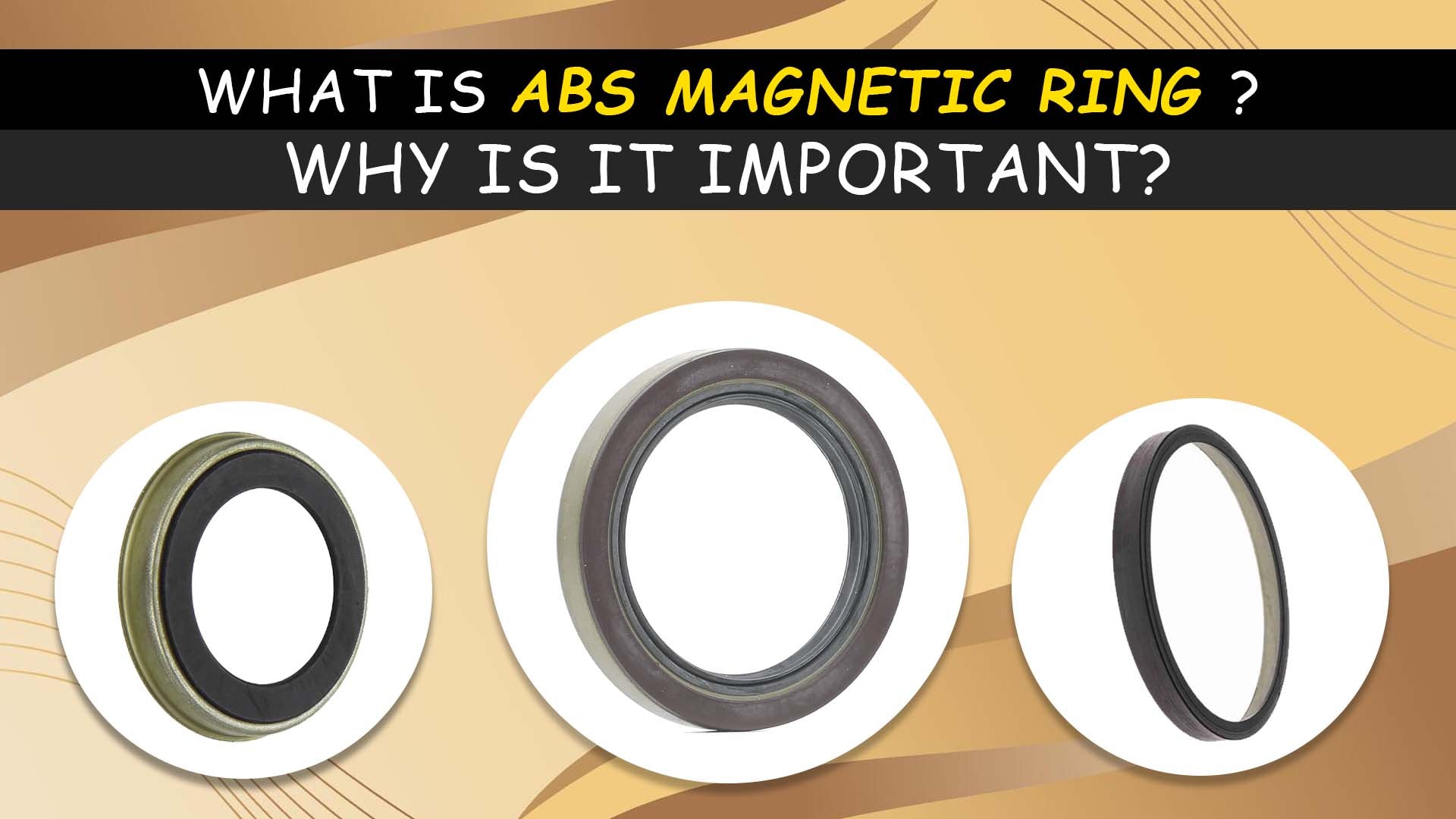 Beyond the Cog: Understanding ABS Magnetic Rings and Their Crucial Rol ...